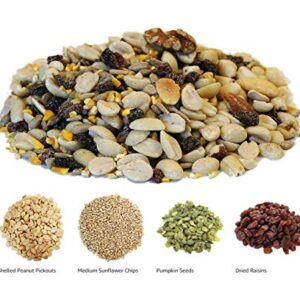 Backyard Seeds Woodpecker Shelled Peanuts Mixed Bird Seed with Sunflower Chips, Pumpkins, Raisins (5 Pounds)