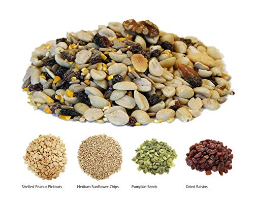 Backyard Seeds Woodpecker Shelled Peanuts Mixed Bird Seed with Sunflower Chips, Pumpkins, Raisins (5 Pounds)