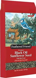 feathered friend black oil sunflower wild bird seed, 20 lb.