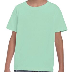 Gildan Youth 53 Oz T-Shirt - Mint Green - M - (Style # G500B - Original Label)