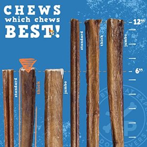 Jack&Pup 6 Inch Thick Bully Sticks for Medium Dogs, Dog Bully Sticks for Small Dogs -6" Bully Sticks for Puppies Natural Bully Sticks Odor Free Long Lasting Dog Chews, Beef Bully Stick (3 Pack)