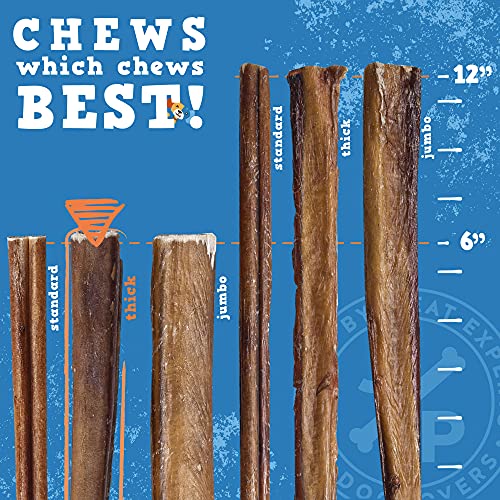 Jack&Pup 6 Inch Thick Bully Sticks for Medium Dogs, Dog Bully Sticks for Small Dogs -6" Bully Sticks for Puppies Natural Bully Sticks Odor Free Long Lasting Dog Chews, Beef Bully Stick (3 Pack)