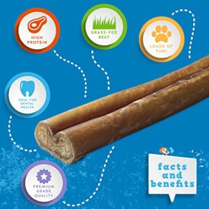 Jack&Pup 6 Inch Thick Bully Sticks for Medium Dogs, Dog Bully Sticks for Small Dogs -6" Bully Sticks for Puppies Natural Bully Sticks Odor Free Long Lasting Dog Chews, Beef Bully Stick (3 Pack)