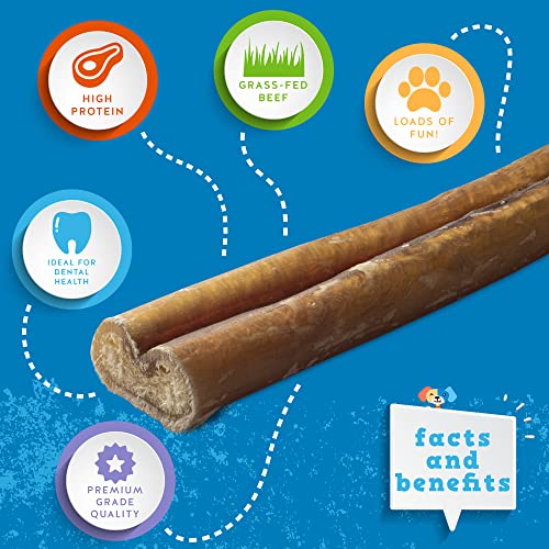 Jack&Pup 6 Inch Thick Bully Sticks for Medium Dogs, Dog Bully Sticks for Small Dogs -6" Bully Sticks for Puppies Natural Bully Sticks Odor Free Long Lasting Dog Chews, Beef Bully Stick (3 Pack)