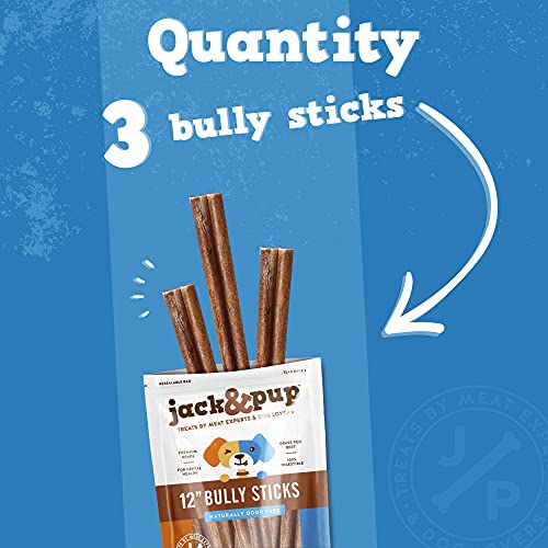 Jack&Pup 12-inch Premium Grade Odor Free Bully Sticks Dog Treats [Thick-Size] 12” Long All Natural Gourmet Dog Treat Chews – Fresh and Savory Beef Flavor – 30% Longer Lasting (3 Ct)