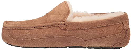 UGG Men's Ascot Slipper, Chestnut, 10 M US