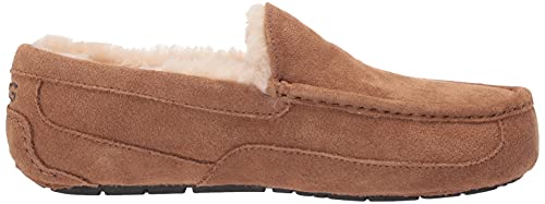 UGG Men's Ascot Slipper, Chestnut, 10 M US