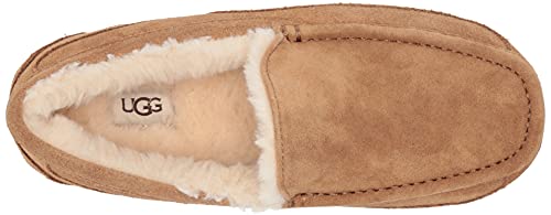 UGG Men's Ascot Slipper, Chestnut, 10 M US