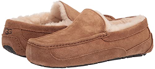 UGG Men's Ascot Slipper, Chestnut, 10 M US