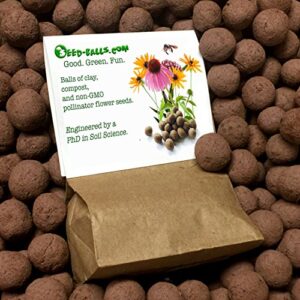 Black Oil Sunflower Seed Bombs - Bulk Seed Balls for Seed Bombing (Helianthus annuus) (20)