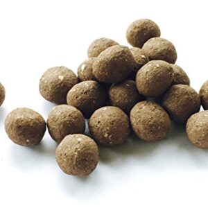 Black Oil Sunflower Seed Bombs - Bulk Seed Balls for Seed Bombing (Helianthus annuus) (20)