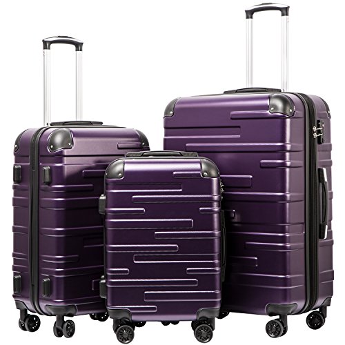 Coolife Luggage Expandable(only 28") Suitcase 3 Piece Set with TSA Lock Spinner 20in24in28in (purple)