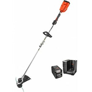 echo 2 ah cordless string trimmer w