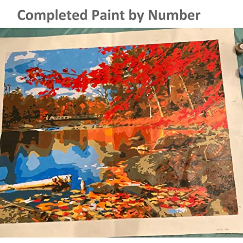 TOCARE DIY Acrylic Paint by Number for Adults On Canvas,Adult Painting by Numbers Kits Home Wall Art Decor,20x16Inch Maple Autumn Park-No Frame