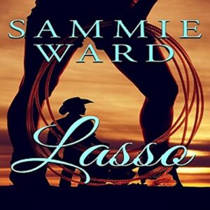 lasso (lovestorm romance)