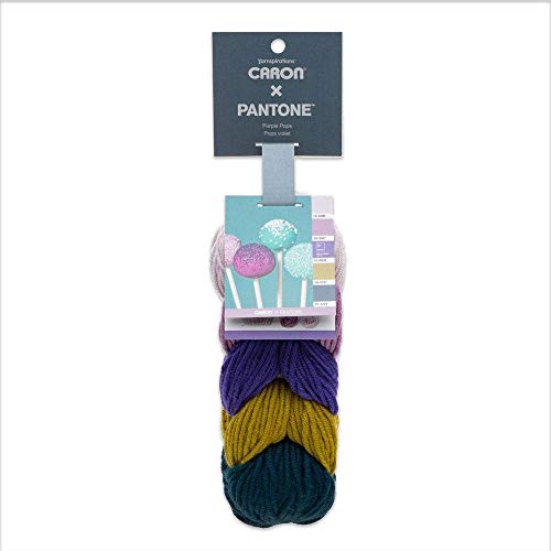 Caron x Pantone Acrylic & Merino Wool Blend Yarn •• 5 Coordinated Colors in 1 Braid (Purple Pops 291101-01017)