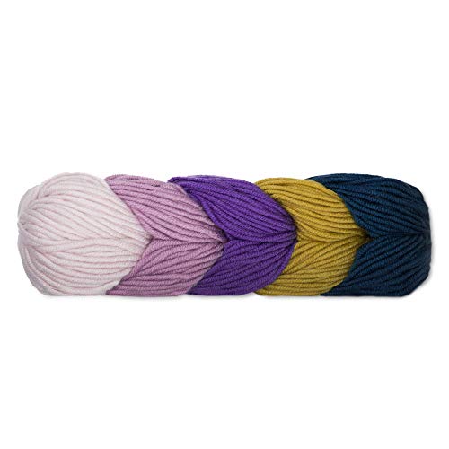 Caron x Pantone Acrylic & Merino Wool Blend Yarn •• 5 Coordinated Colors in 1 Braid (Purple Pops 291101-01017)