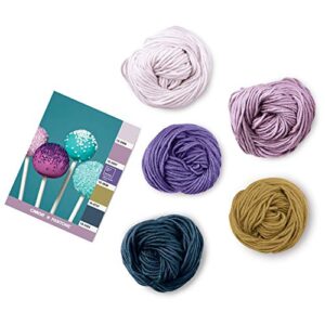 Caron x Pantone Acrylic & Merino Wool Blend Yarn •• 5 Coordinated Colors in 1 Braid (Purple Pops 291101-01017)