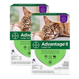 bayer advantage ii flea prevention for large cats 6 doses, 6 months supply 2 pack bundle