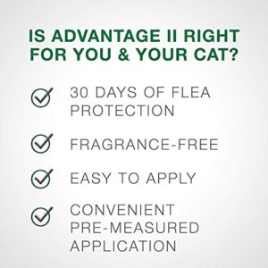 Bayer Advantage II Flea Prevention for Large Cats 6 Doses, 6 Months Supply 2 Pack Bundle