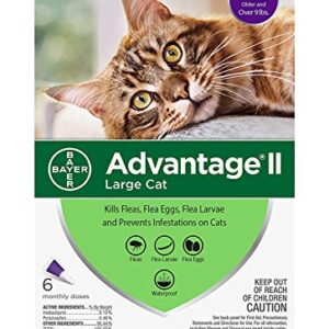 Bayer Advantage II Flea Prevention for Large Cats 6 Doses, 6 Months Supply 2 Pack Bundle