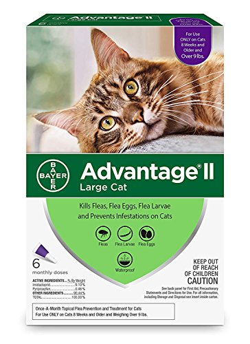 Bayer Advantage II Flea Prevention for Large Cats 6 Doses, 6 Months Supply 2 Pack Bundle