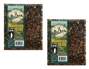 mr. bird 2-pack woodpecker feast large wild bird seed block 1 lb. 12 oz.