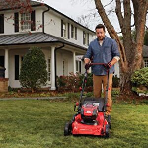 CRAFTSMAN V60* 3-in-1 Cordless Lawn Mower, 21-Inch (CMCMW260P1)