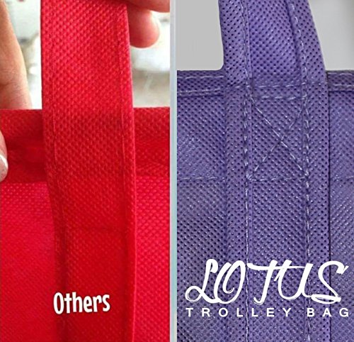 Lotus Trolley Bag -Lrg Club Cart Version-w/LRG COOLER Bag & Egg/Wine holder! Reusable Grocery Cart Bags sized for COSTCO, SAMS, ALDI, HEB & BJ. Eco-friendly 3-Bag Grocery totes