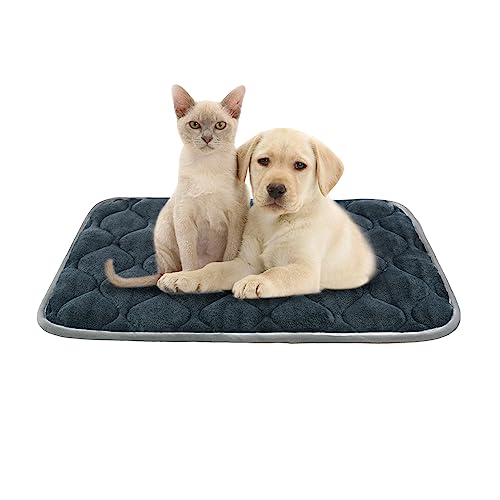 furrybaby Dog Bed Mat Crate Mat with Anti-Slip Bottom Machine Washable Pet Mattress for Dog Sleeping (S 24x18'', Grey Mat)