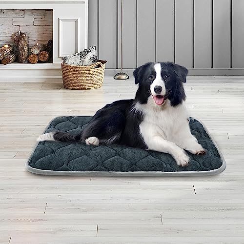 furrybaby Dog Bed Mat Crate Mat with Anti-Slip Bottom Machine Washable Pet Mattress for Dog Sleeping (S 24x18'', Grey Mat)