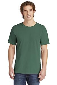 comfort colors by chouinard adult ring-spun tee (light green) (xl)