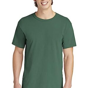 Comfort Colors by Chouinard Adult Ring-Spun Tee (Light Green) (XL)