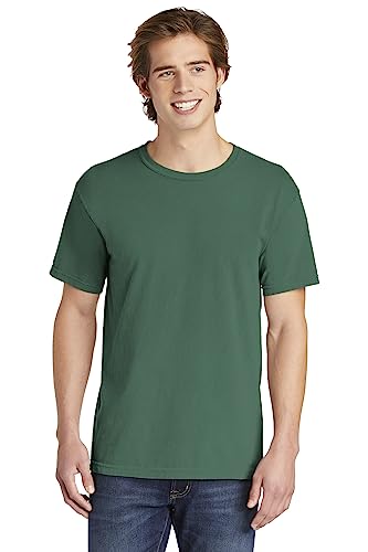 Comfort Colors by Chouinard Adult Ring-Spun Tee (Light Green) (XL)