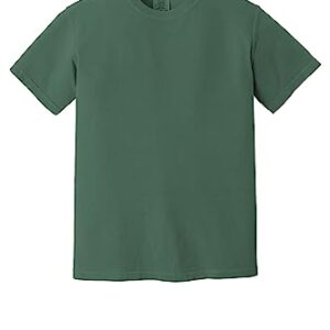 Comfort Colors by Chouinard Adult Ring-Spun Tee (Light Green) (XL)