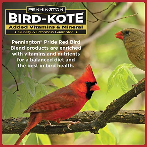 Pennington Pride Red Bird Blend Wild Bird Seed, 10 lb