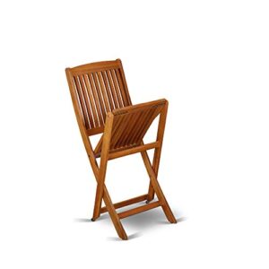 East West Furniture Cameron Foldable Patio Dining Chairs-Acacia Wood, Set of 2, Natural Oil