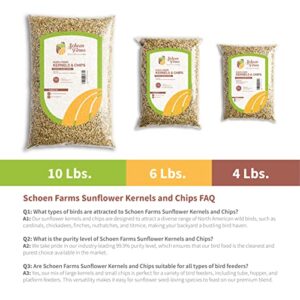 Schoen Farms Sunflower Kernels and Chips Hearts (4 LBS)