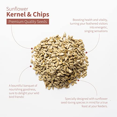 Schoen Farms Sunflower Kernels and Chips Hearts (4 LBS)