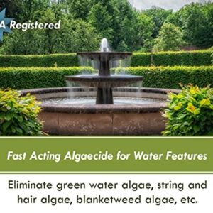 Fountain Algaecide and Clarifier - 8oz - Kills and Inhibits All Types of Algae Growth, Formulated for Small Ponds and Water Features, Treats up to 8,000 Gallons