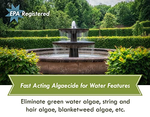 Fountain Algaecide and Clarifier - 8oz - Kills and Inhibits All Types of Algae Growth, Formulated for Small Ponds and Water Features, Treats up to 8,000 Gallons