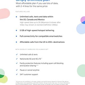 Google Fi Wireless SIM Kit Talk/Text/Data