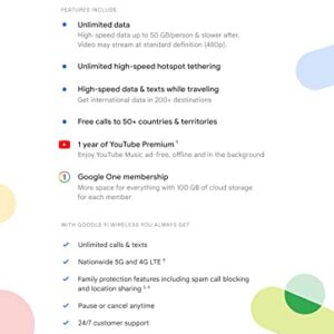 Google Fi Wireless SIM Kit Talk/Text/Data