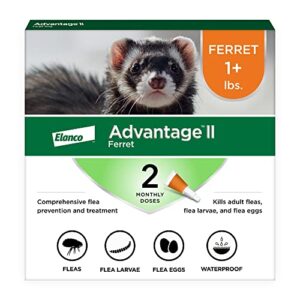 advantage ii ferret vet-recommended flea treatment & prevention | ferret 1+ lbs. | 2-month supply