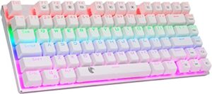 huo ji 65% mechanical gaming keyboard, e-yooso z-88 with blue switches metal panel rainbow led backlit, compact 81 keys, silver and white