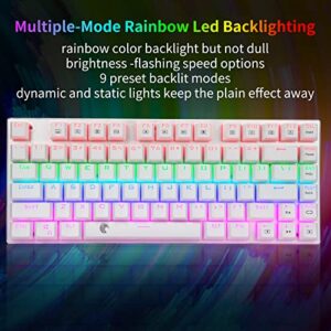 HUO JI 65% Mechanical Gaming Keyboard, E-Yooso Z-88 with Blue Switches Metal Panel Rainbow LED Backlit, Compact 81 Keys, Silver and White