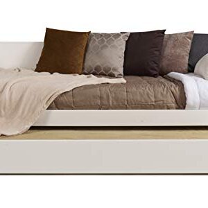 Concord Daybed, Single, White, Contemporary, Twin