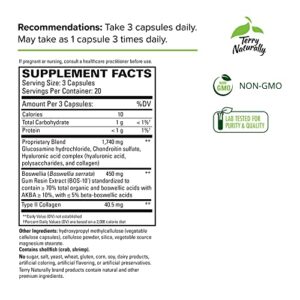 Terry Naturally Be Mobile - 60 Capsules - Joint Support Supplement - with Type II Collagen, Glucosamine, Chondroitin, Hyaluronic Acid & Boswellia - Non-GMO, Gluten Free - 20 Servings