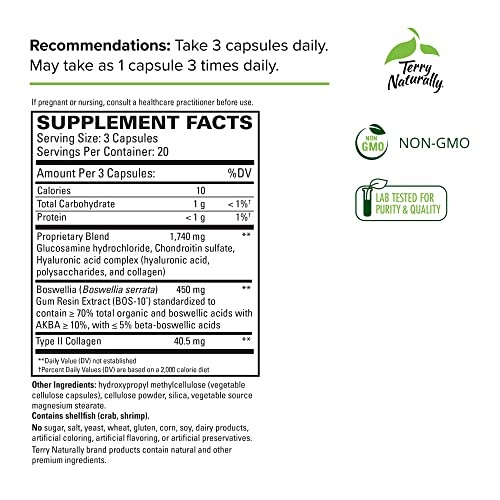 Terry Naturally Be Mobile - 60 Capsules - Joint Support Supplement - with Type II Collagen, Glucosamine, Chondroitin, Hyaluronic Acid & Boswellia - Non-GMO, Gluten Free - 20 Servings