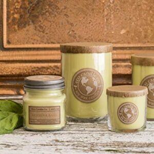 Eco Candle Co. Recycled Candle, Naked, 26 oz. - Unscented - 100% Soy Wax, No Lead, Kraft Paper Label & Lid, Hand Poured, Phthalate Free, Made from Midwest Grown Soybeans, All Natural Wicks